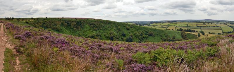 What's Special about Exmoor ? | Exmoor