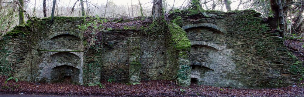 What's Special about Exmoor ? | Exmoor