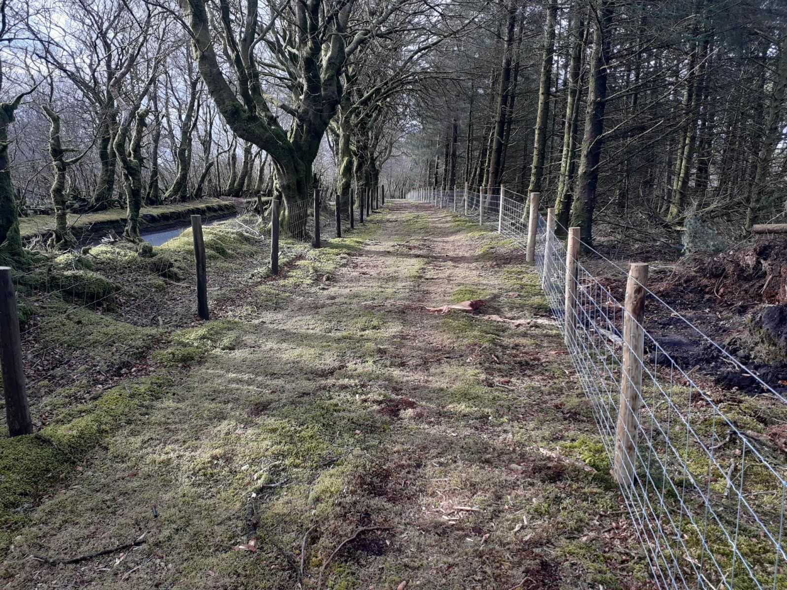Caremoor Funded Projects | Exmoor